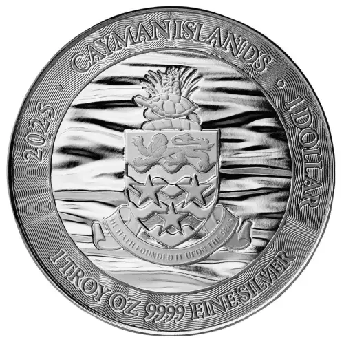 2025 1 oz Loggerhead Turtle - Cayman Islands Silver Coin - Camino Coin ...