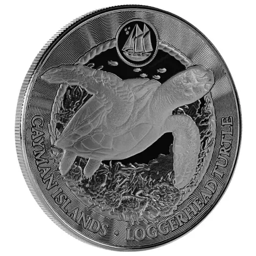 2025 1 oz Loggerhead Turtle - Cayman Islands Silver Coin - Camino Coin ...